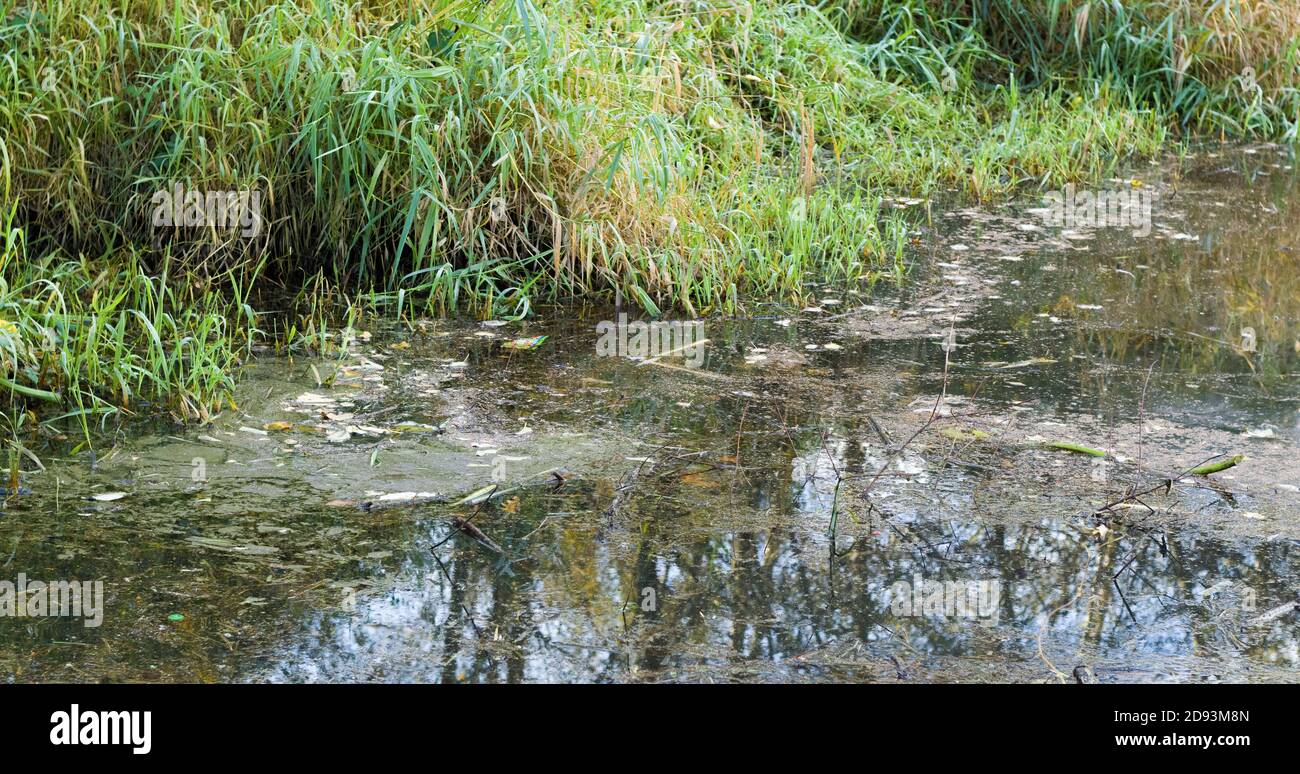 Polluted river canada hi-res stock photography and images - Alamy