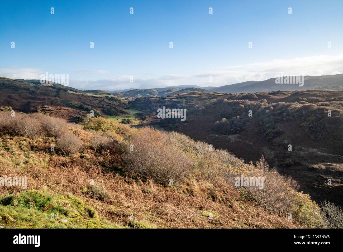 A remote Scottish hillside, Scotland, UK Stock Photo - Alamy