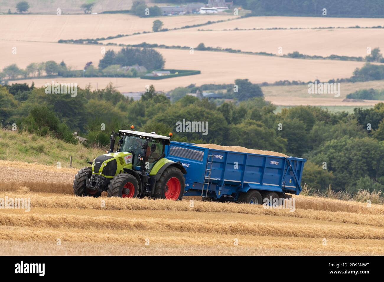 A Claas Tractor Pulling a Blue Trailer Full of Barley Up a Hillside ...