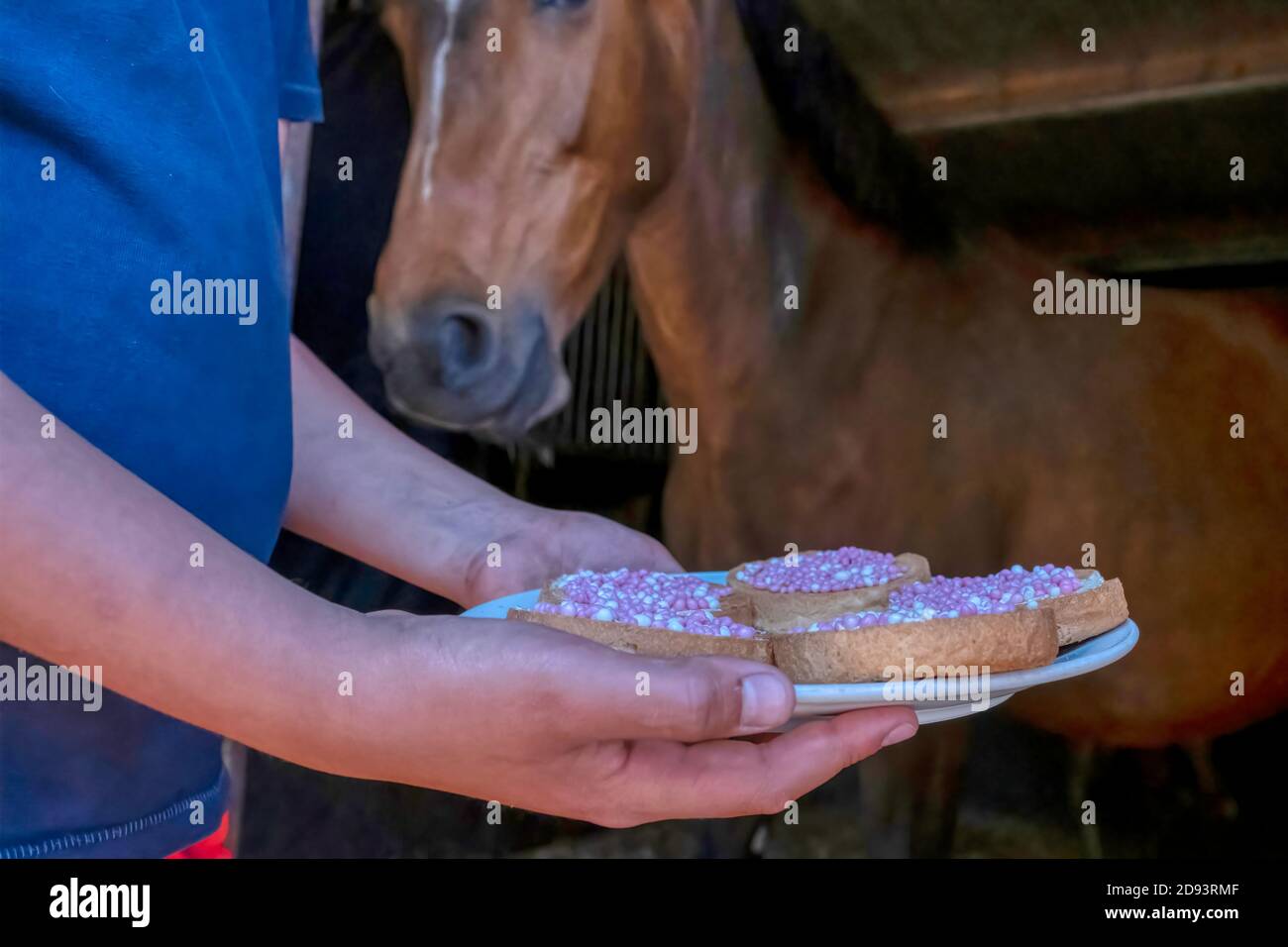 Traditional Dutch birth celebration biscuit with pink mice. rusk with ...