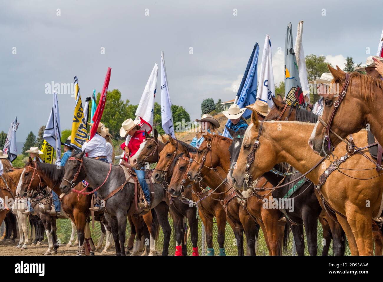Cowgirls holding flags waiting to enter the arena during Omak Stampede ...
