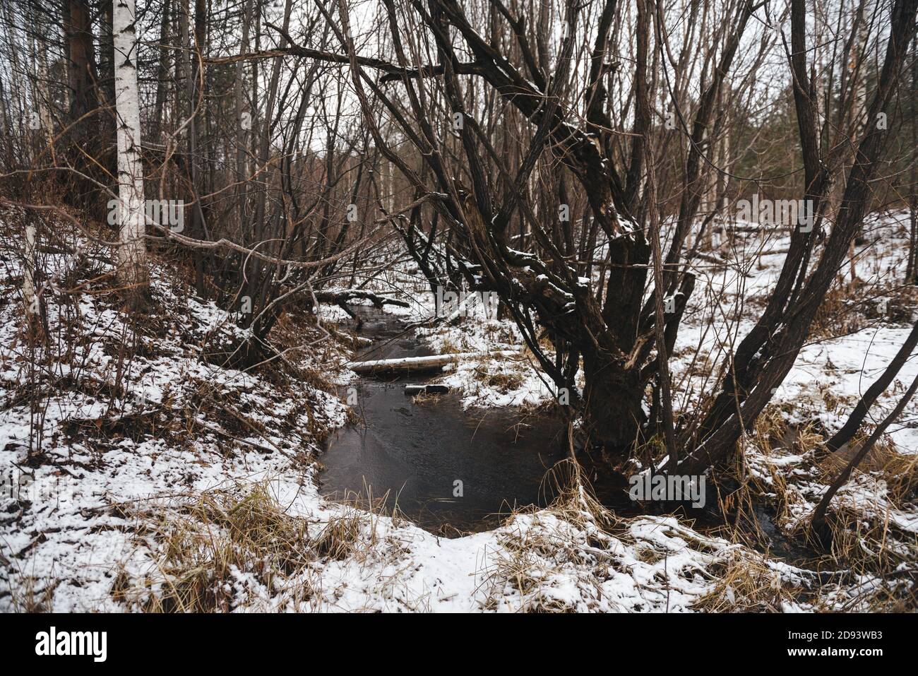 Ice ravine hi-res stock photography and images - Alamy
