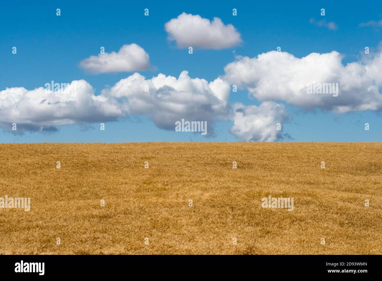 Gold over america hi-res stock photography and images - Alamy