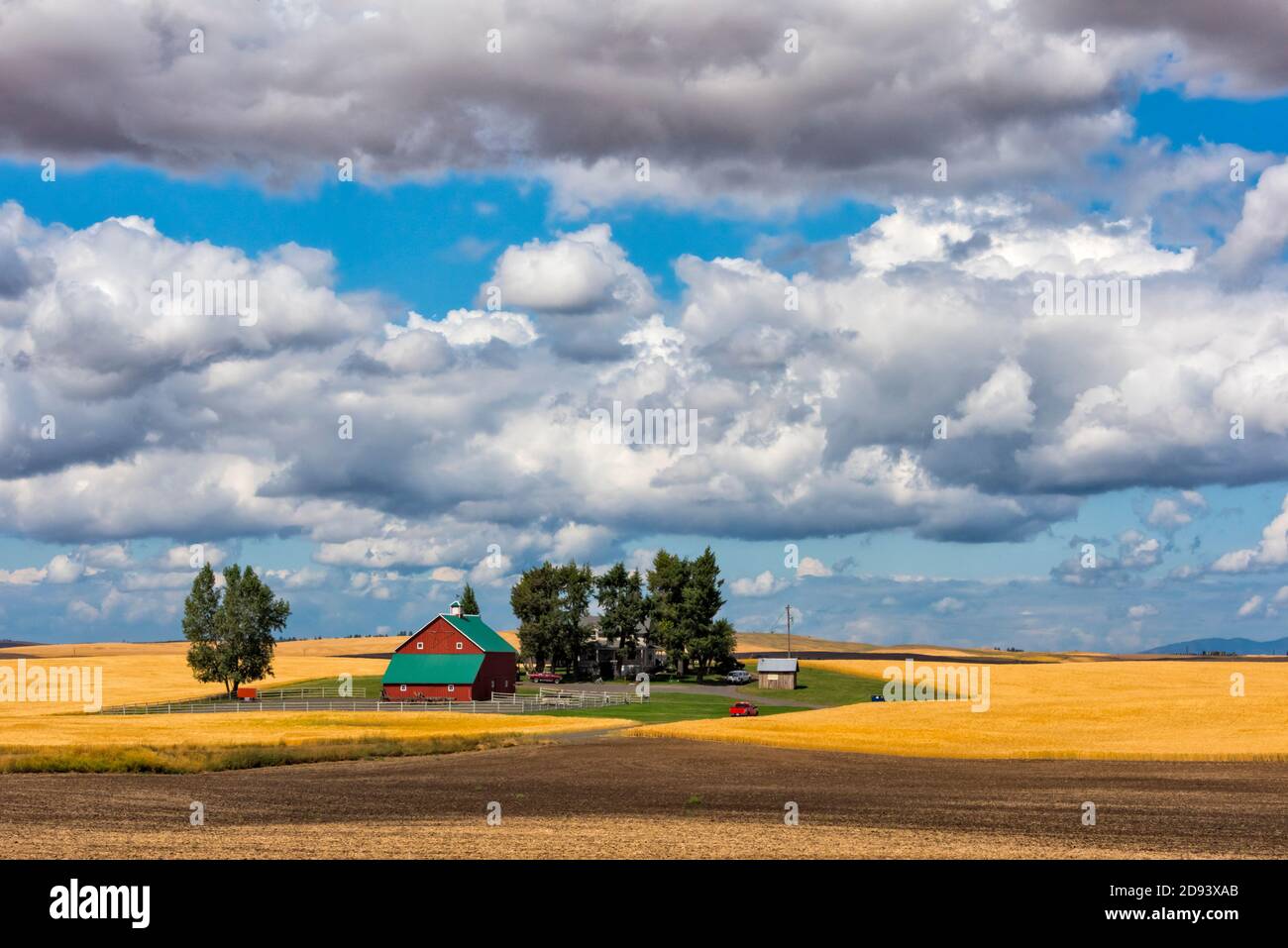 Wheat field above hi-res stock photography and images - Alamy