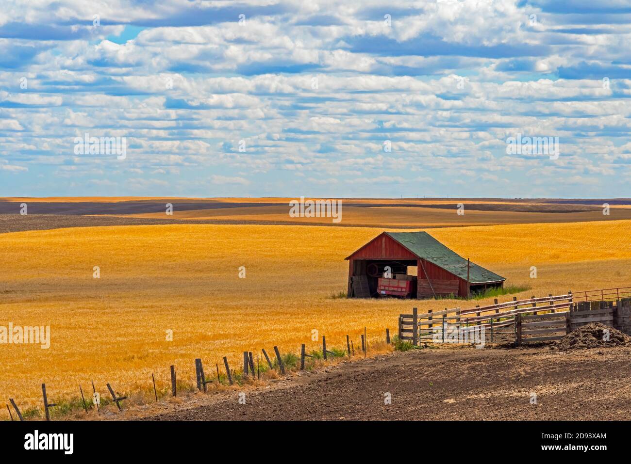 Wheat field barn farm hi-res stock photography and images - Alamy