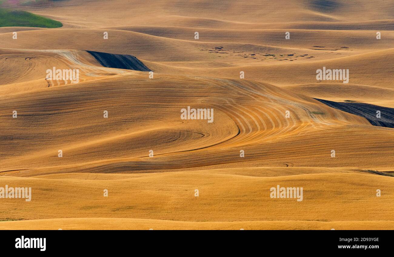 Wheat field patterns hi-res stock photography and images - Alamy