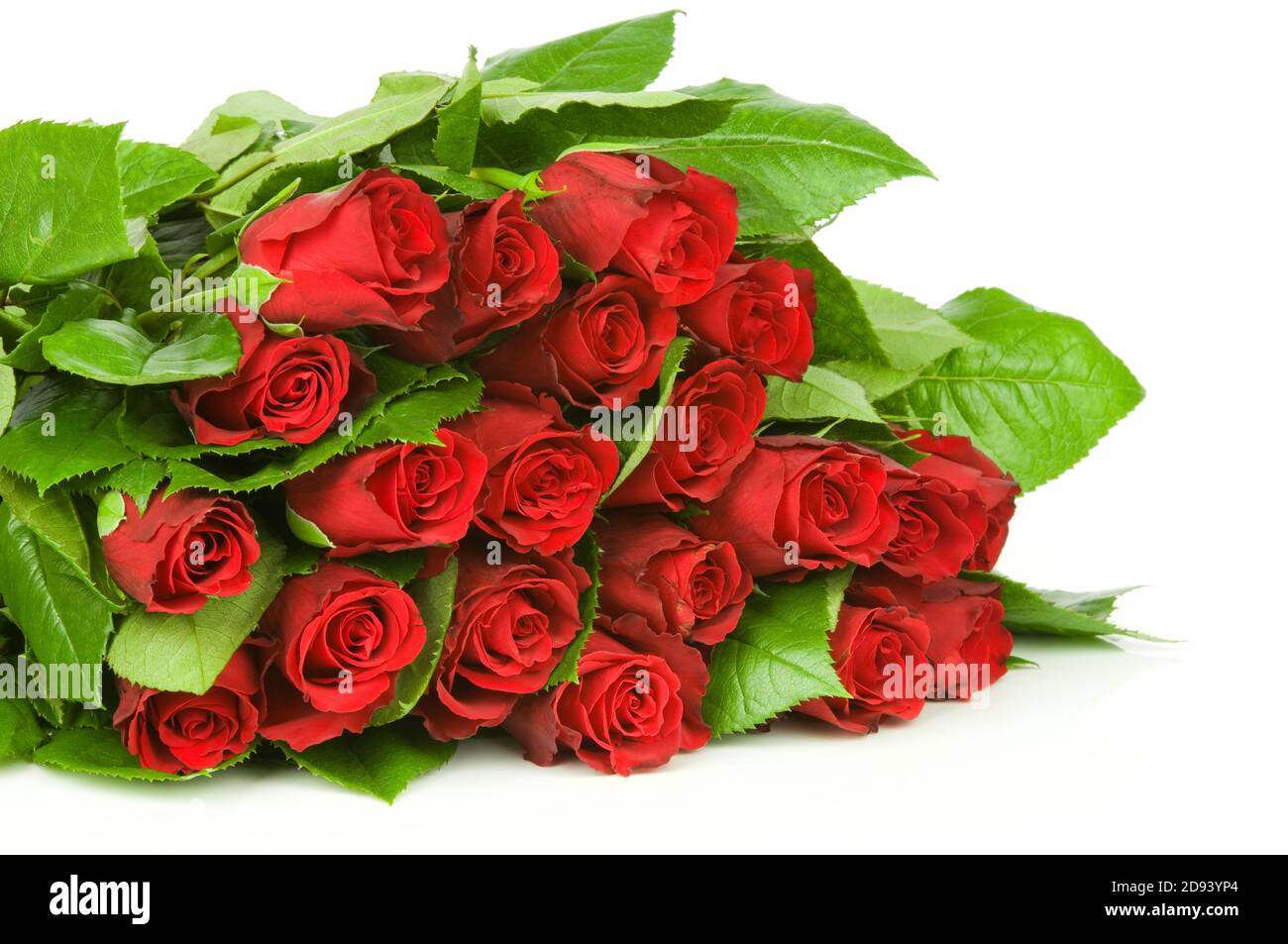 Red rose speedway hi-res stock photography and images - Alamy