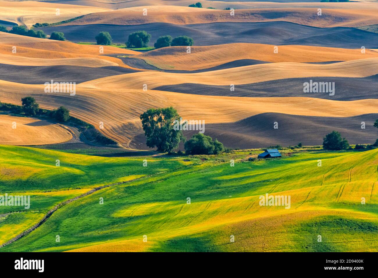 Green field with pattern hi-res stock photography and images - Alamy