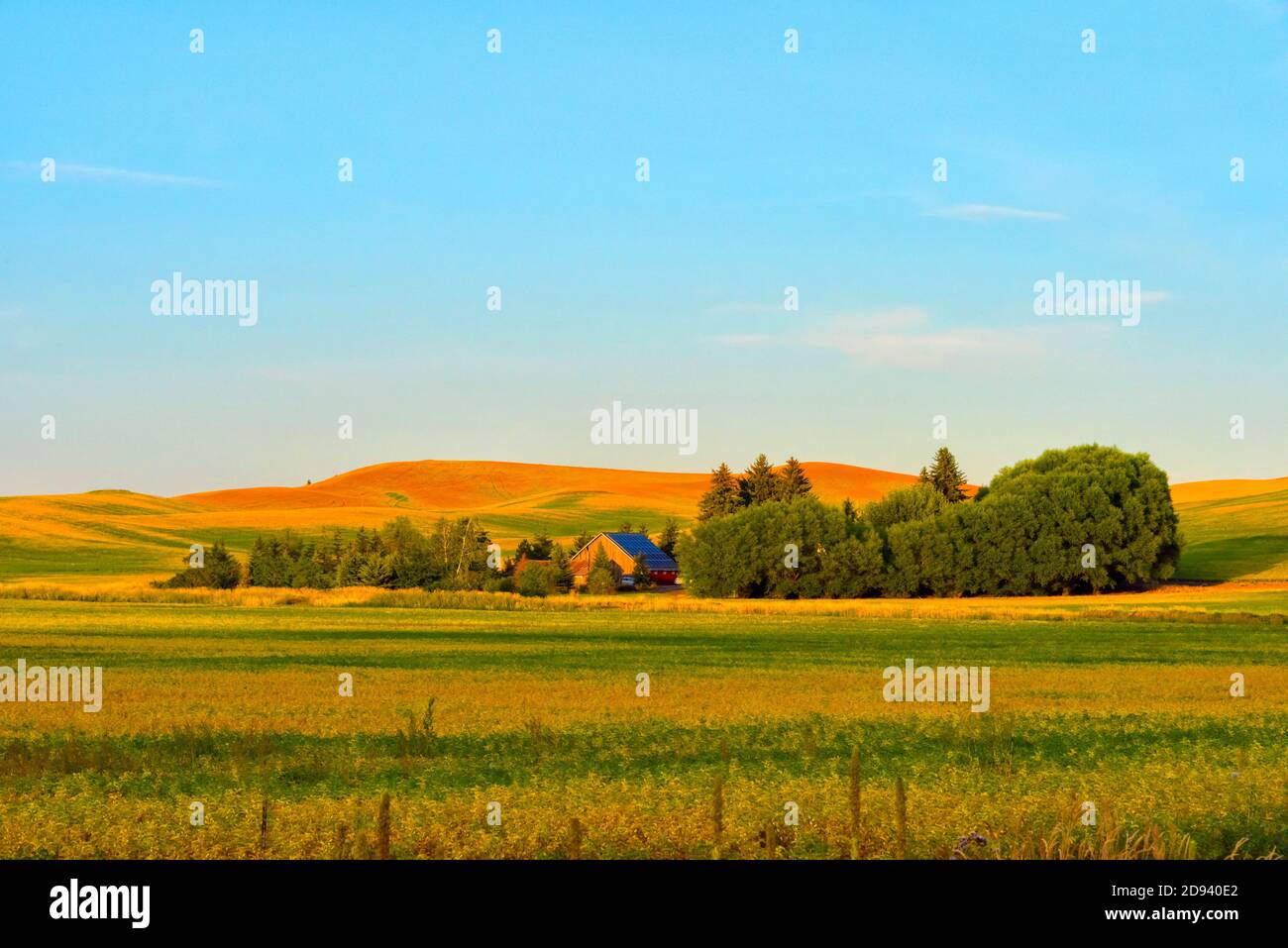 Farm house on wheat field, Palouse, Washington State, USA Stock Photo ...