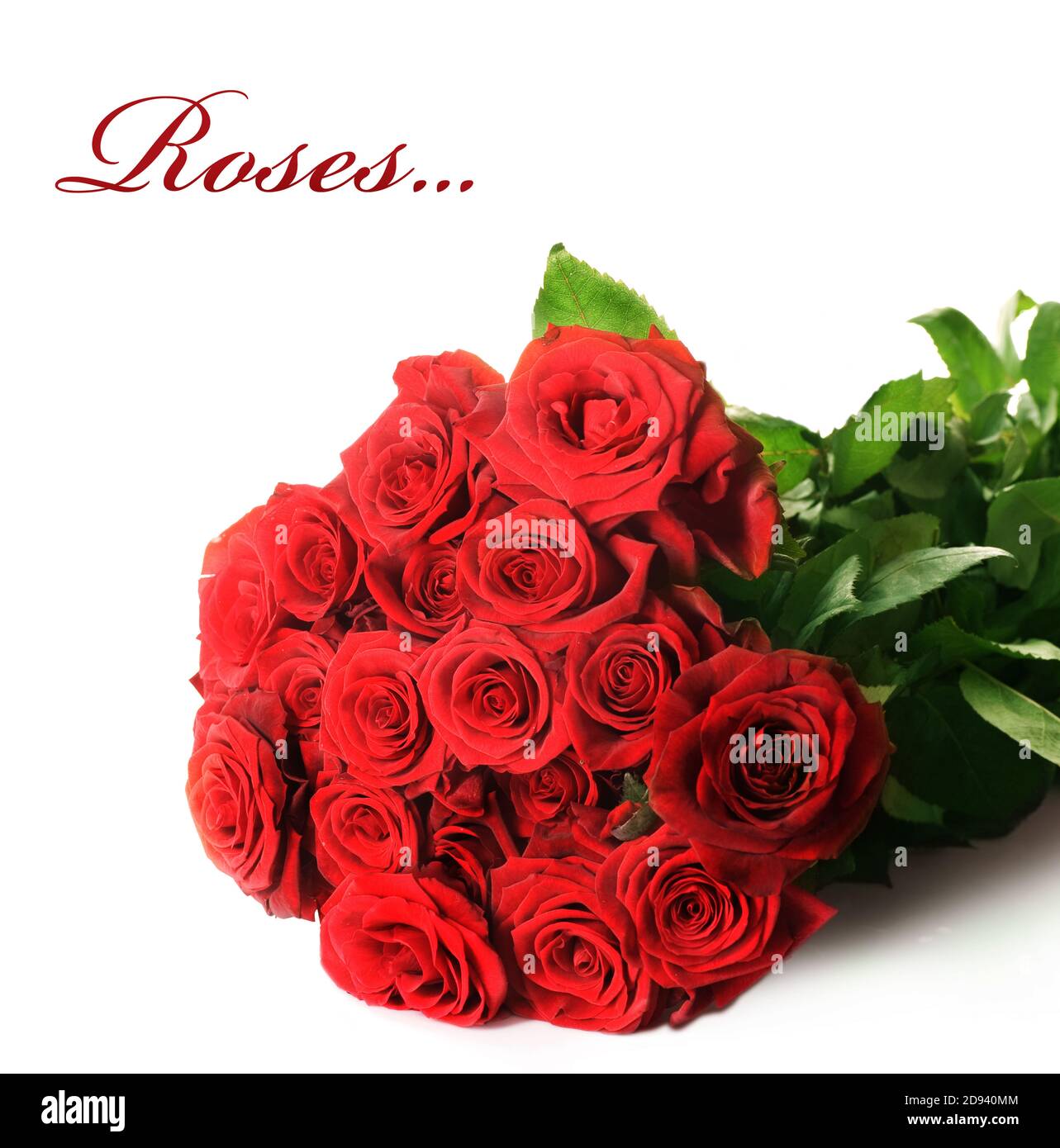 Red roses reaction hi-res stock photography and images - Alamy