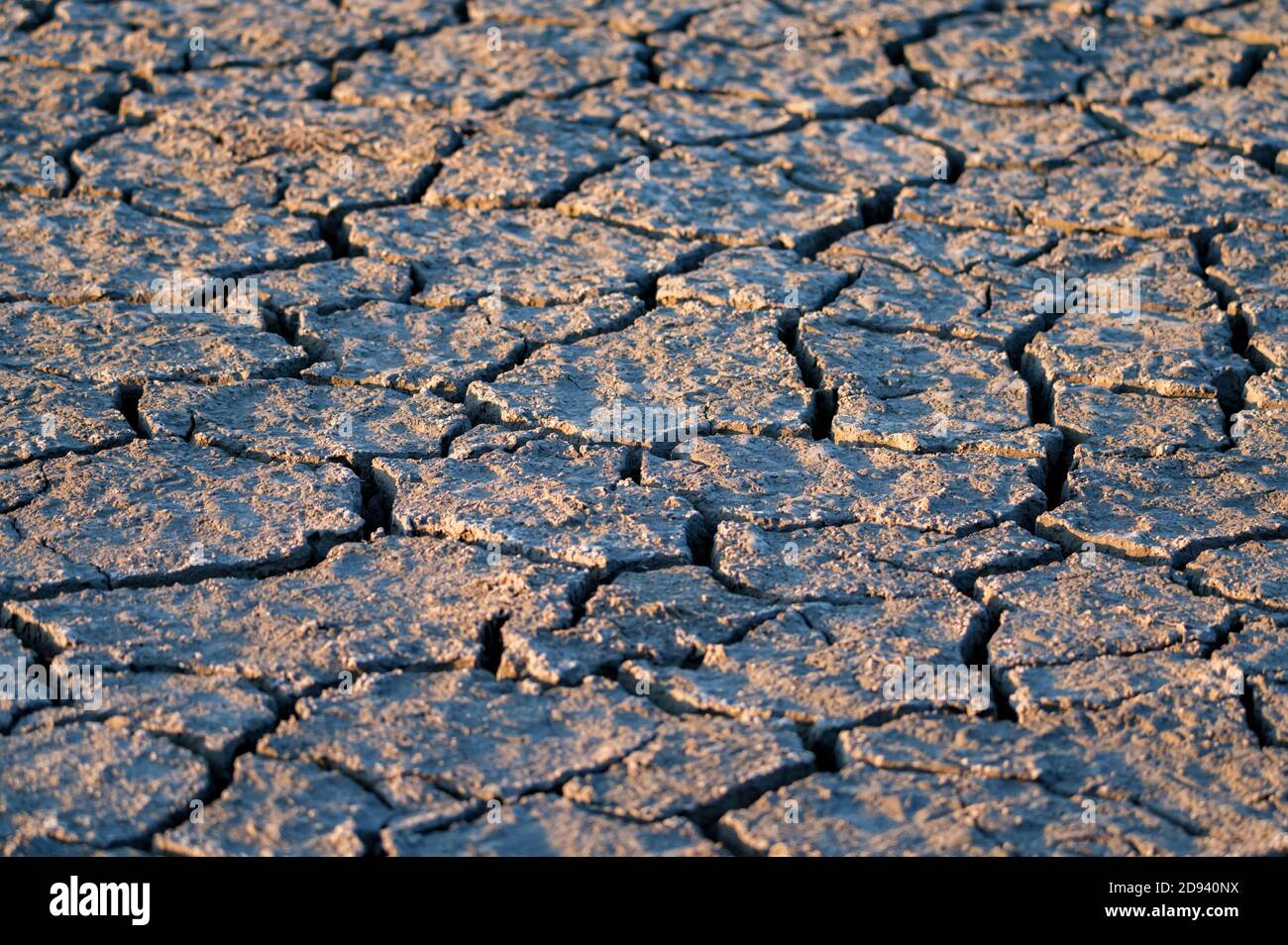 Close up texture background of the takir soil Stock Photo - Alamy