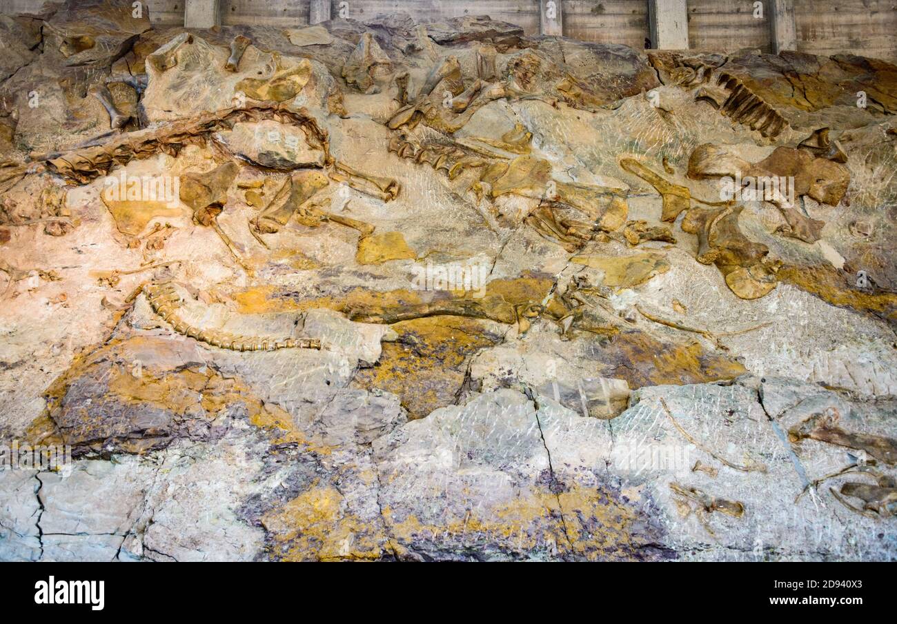 Dinosaur National Monument Stock Photo - Alamy