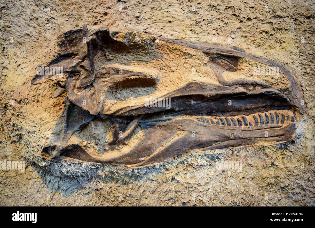Dinosaur National Monument Stock Photo - Alamy
