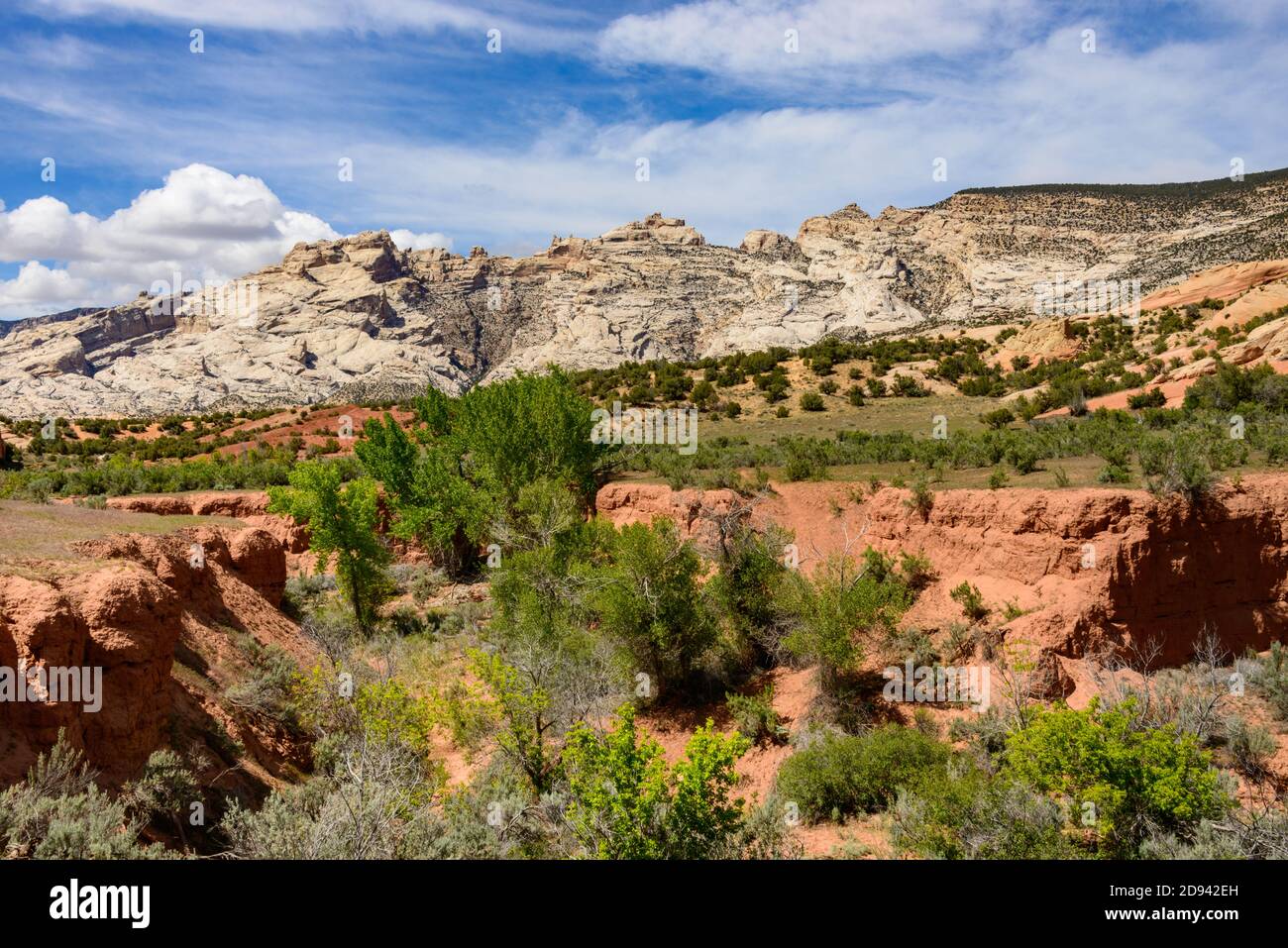 Dinosaur National Monument Stock Photo - Alamy