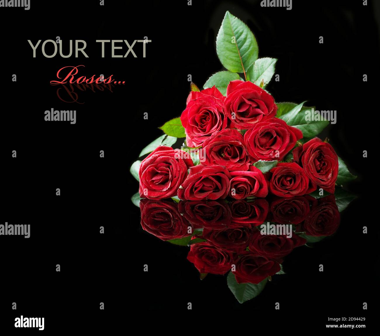 Emily jackson house hi-res stock photography and images - Alamy