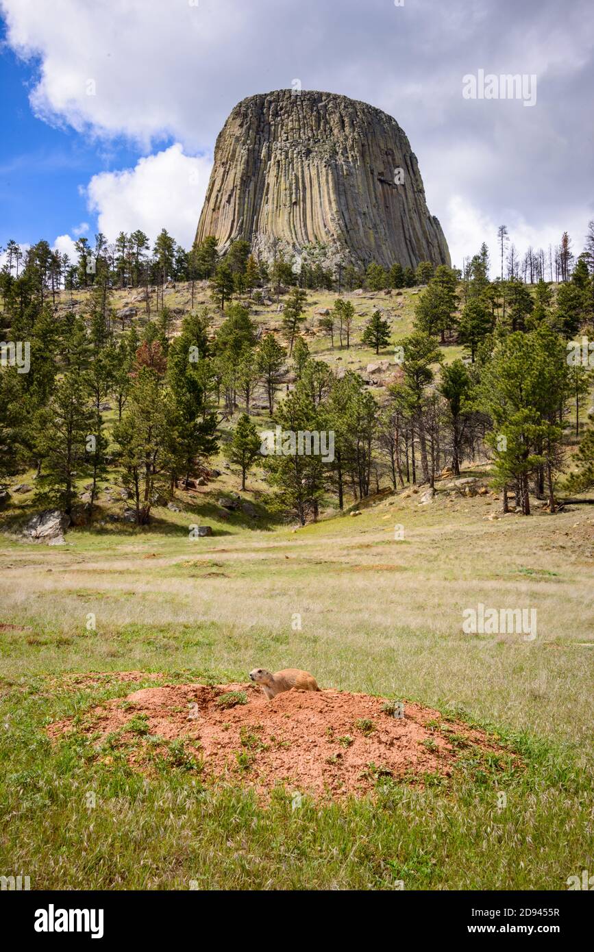 Gypsum springs formation hi-res stock photography and images - Alamy