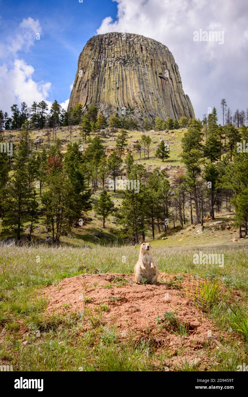 Black white devils tower rock hi-res stock photography and images - Alamy