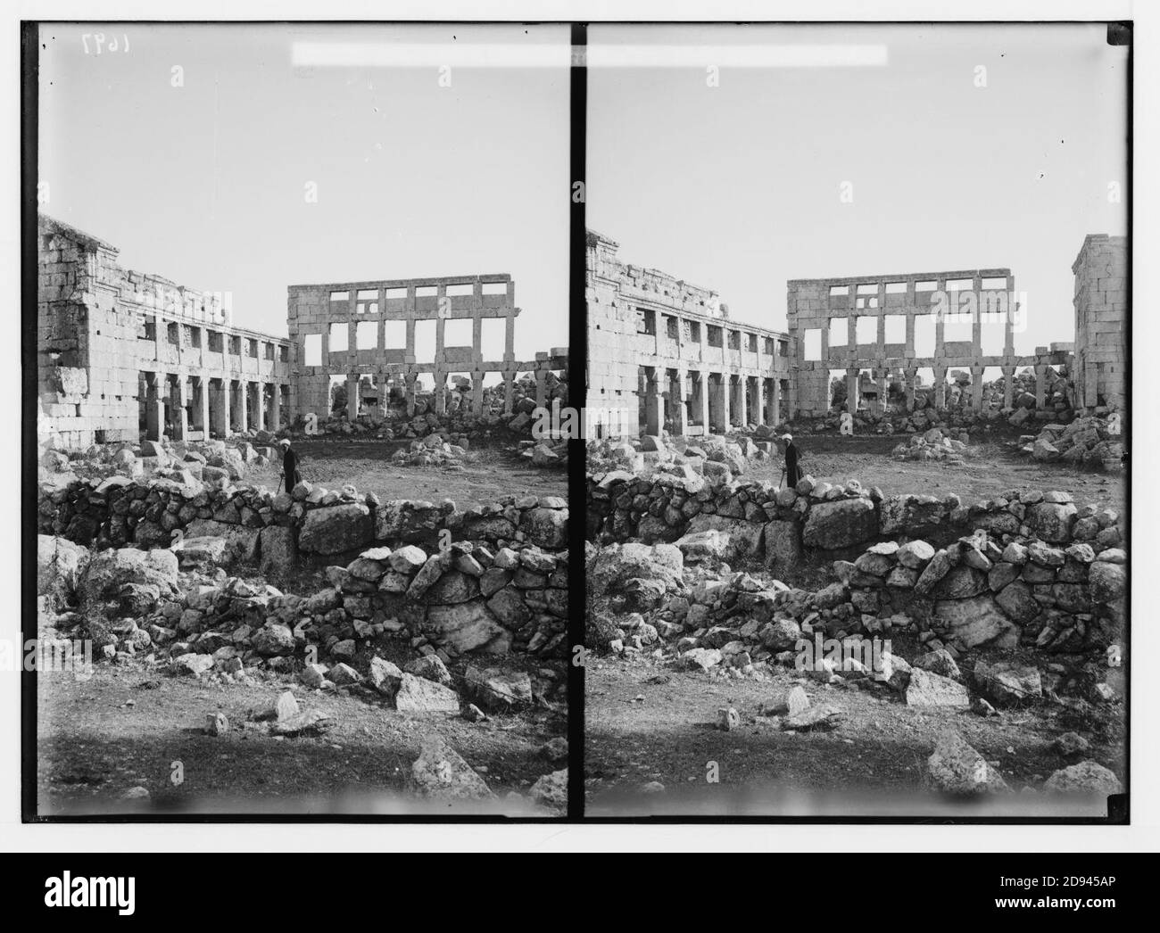 Remains of tree Black and White Stock Photos & Images - Alamy