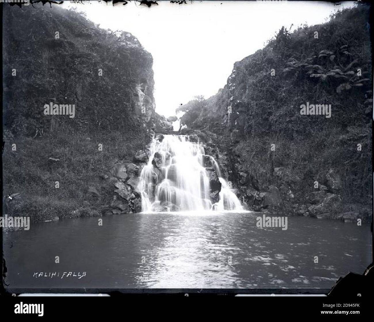 Kalihi Falls (3 Stock Photo - Alamy