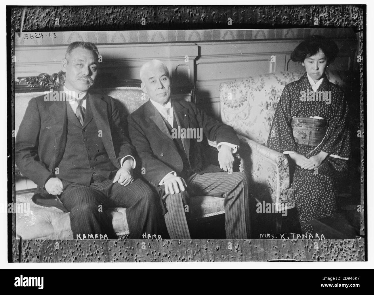 Tanaka tree hi-res stock photography and images - Alamy