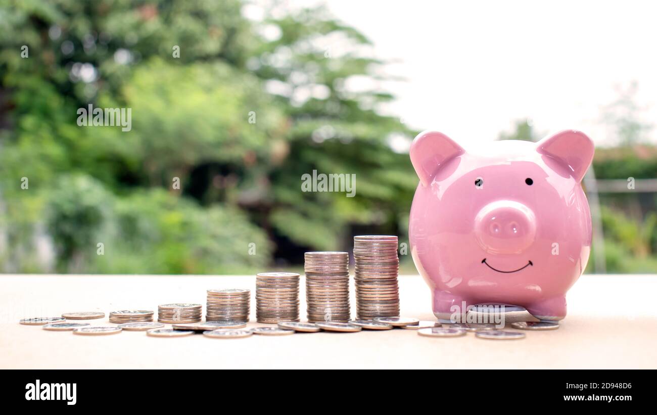 The piggy bank includes a pile of coins, ideas for savings and ...