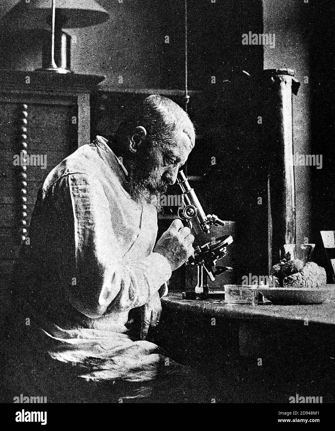 Jules dejerine hi-res stock photography and images - Alamy