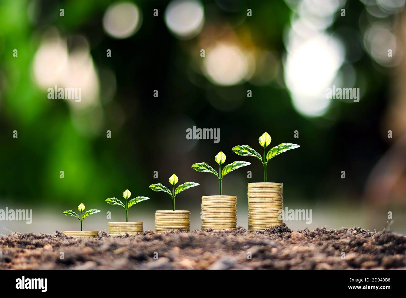 Save soil hi-res stock photography and images - Alamy