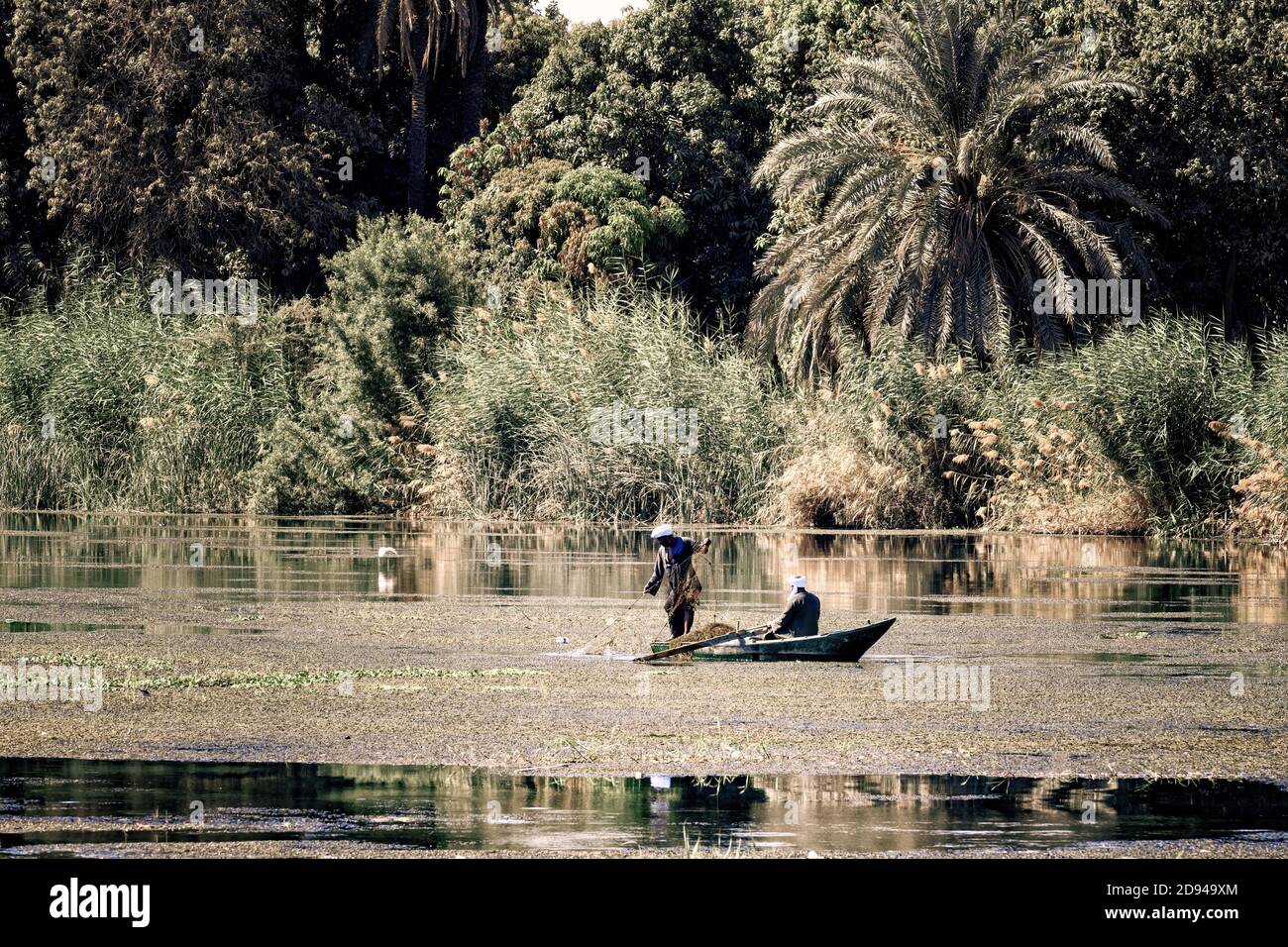 Nile papyrus hi-res stock photography and images - Alamy