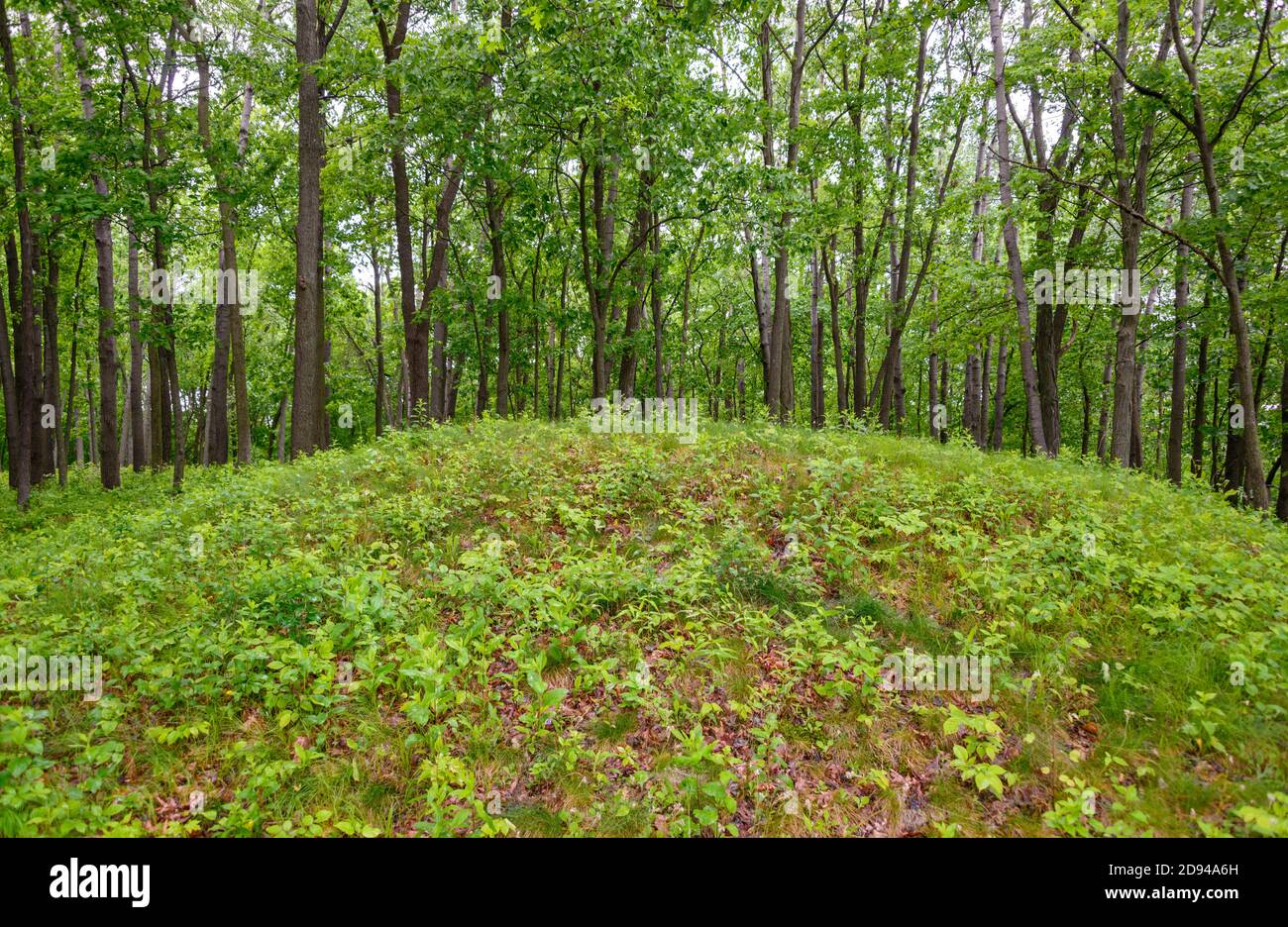 Effigy mounds wisconsin hi-res stock photography and images - Alamy