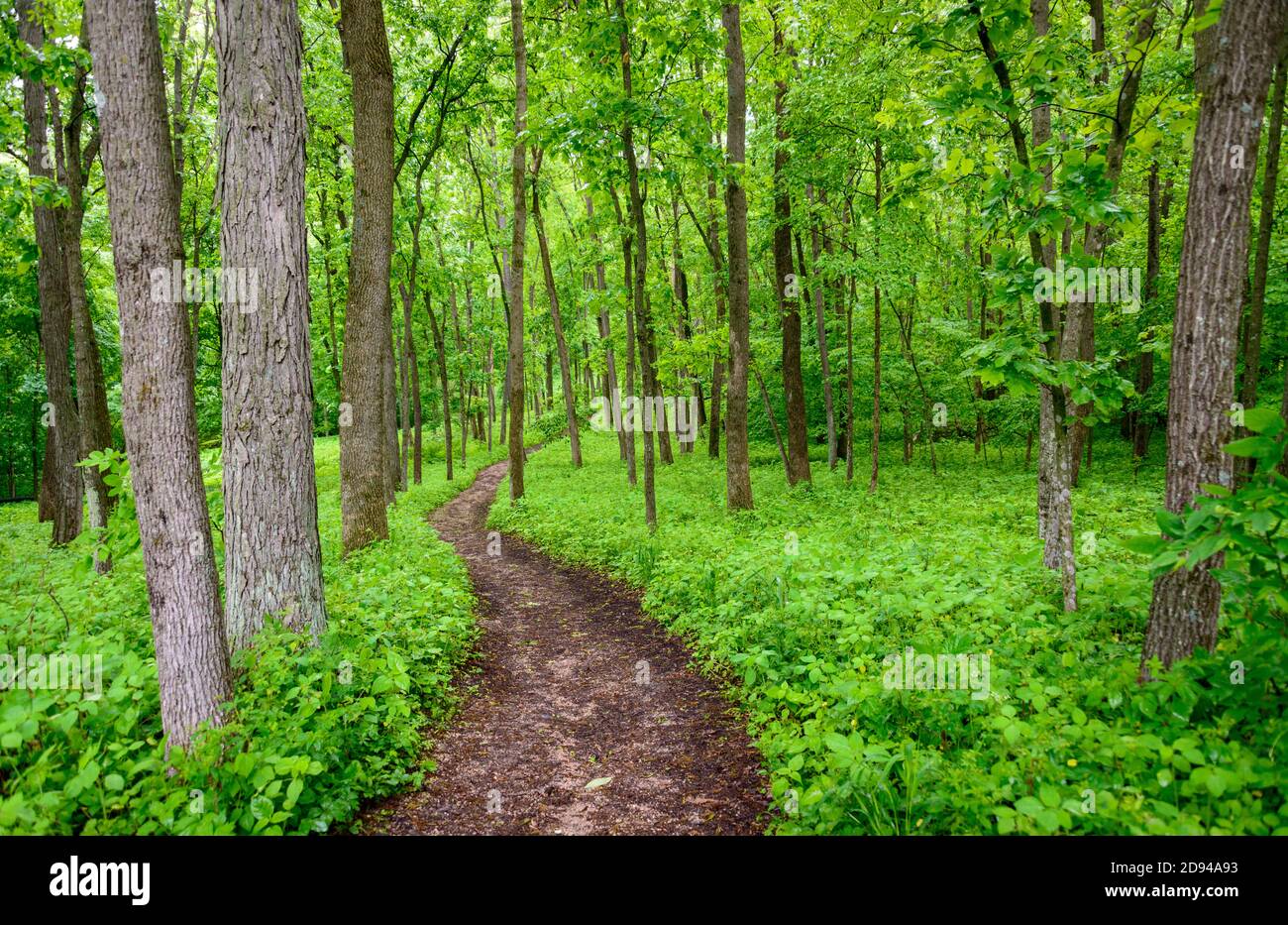 Effigy mounds wisconsin hi-res stock photography and images - Alamy