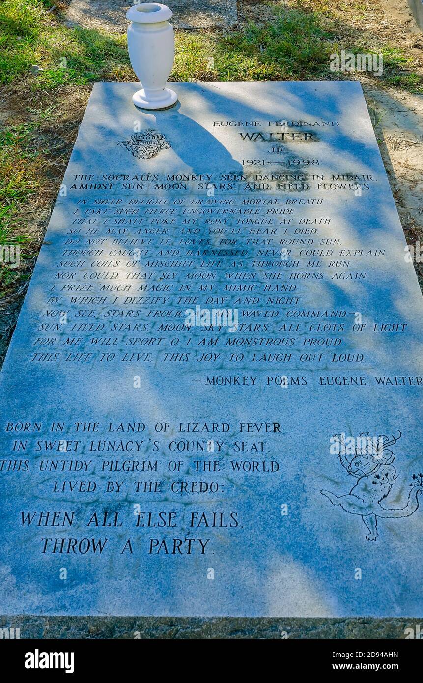 Socrates monkey hi-res stock photography and images - Alamy