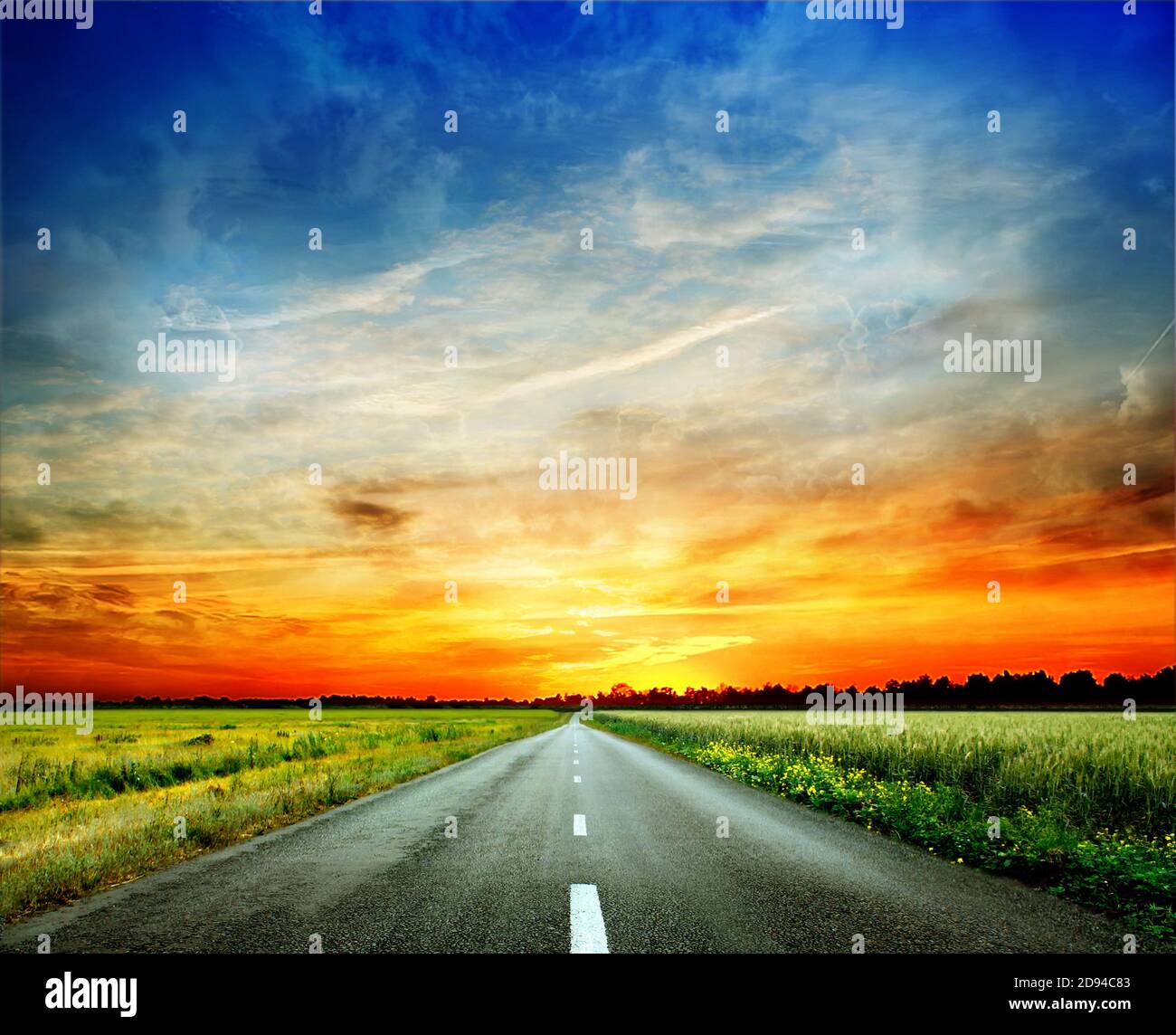 Road roller da hi-res stock photography and images - Alamy