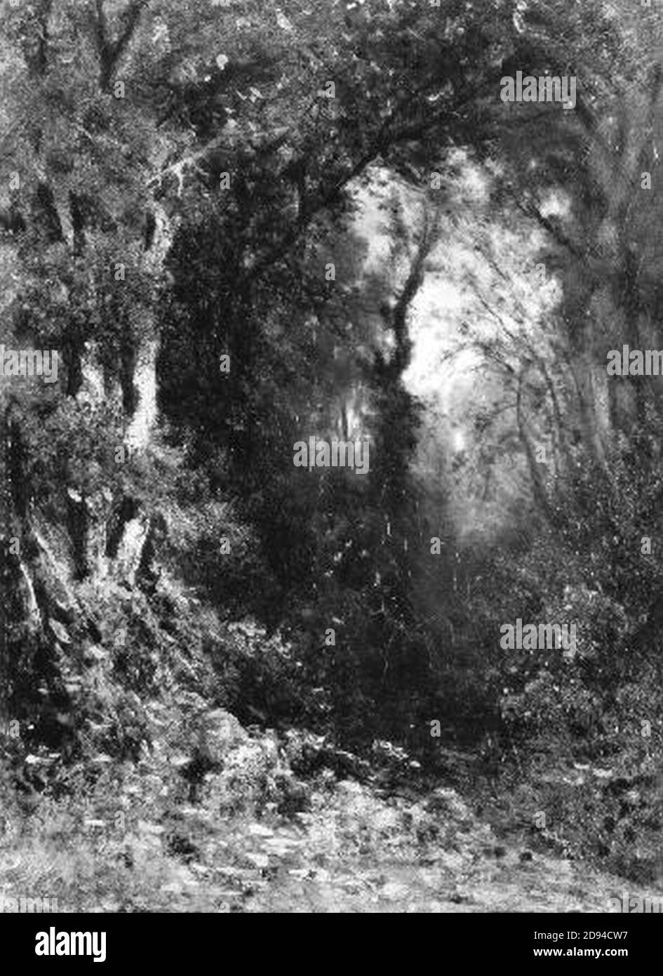 Marak julius hi-res stock photography and images - Alamy