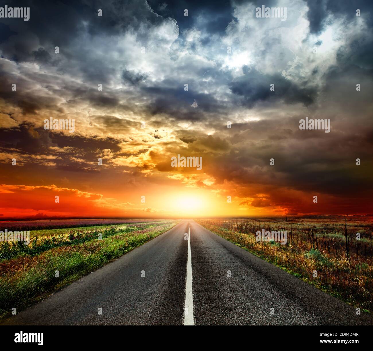Road force balancing hi-res stock photography and images - Alamy