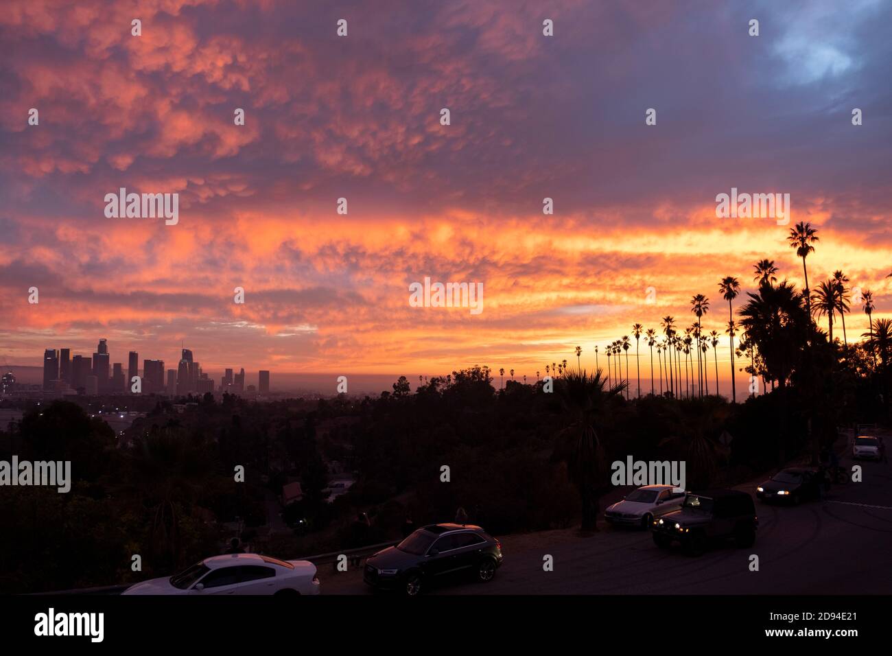 Spectacular sunset over the Los Angeles downtown skyline and palm trees ...
