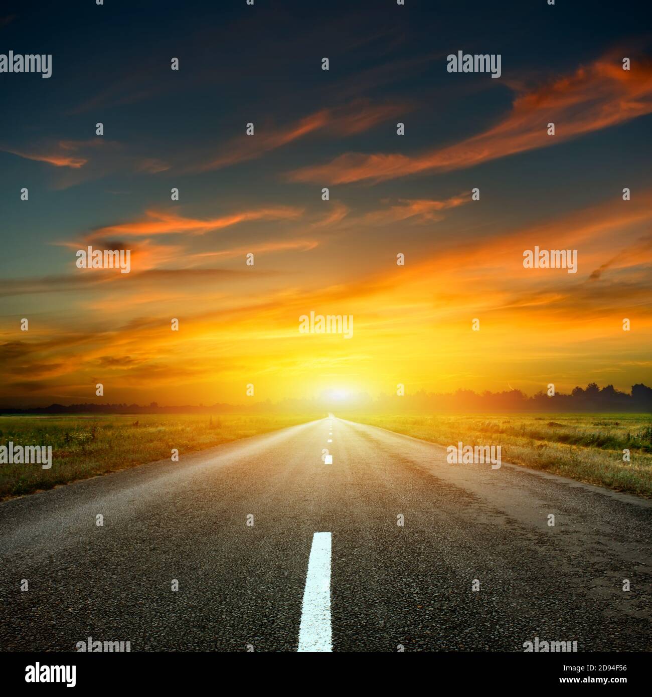 Road force balancing hi-res stock photography and images - Alamy