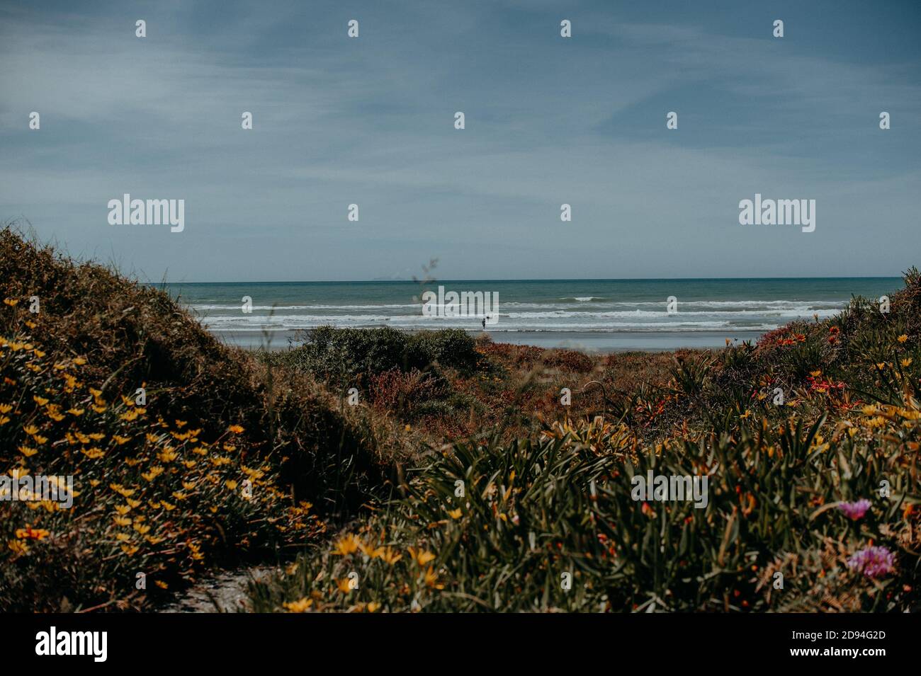 Ohope new zealand hi-res stock photography and images - Alamy