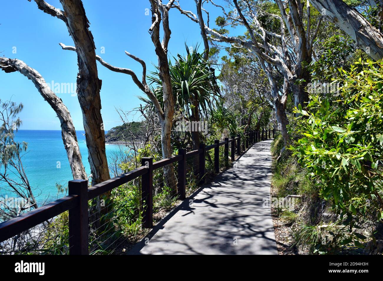 Forest way trail with an amazing ocean scenery at Noosa National Park ...