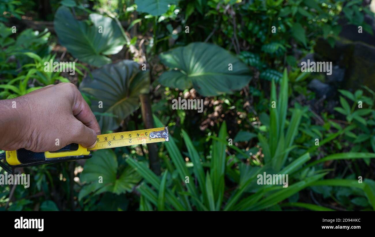 Close up of hand holding tape meter Stock Photo - Alamy