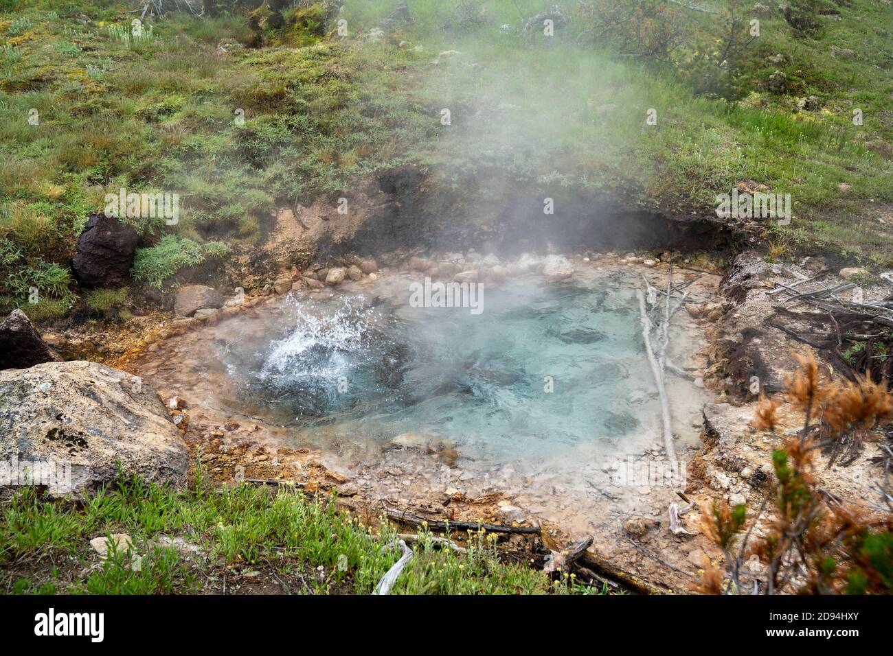 Bubbling hot spring geyser in the Artists Paint Pot area of Yellowstone ...