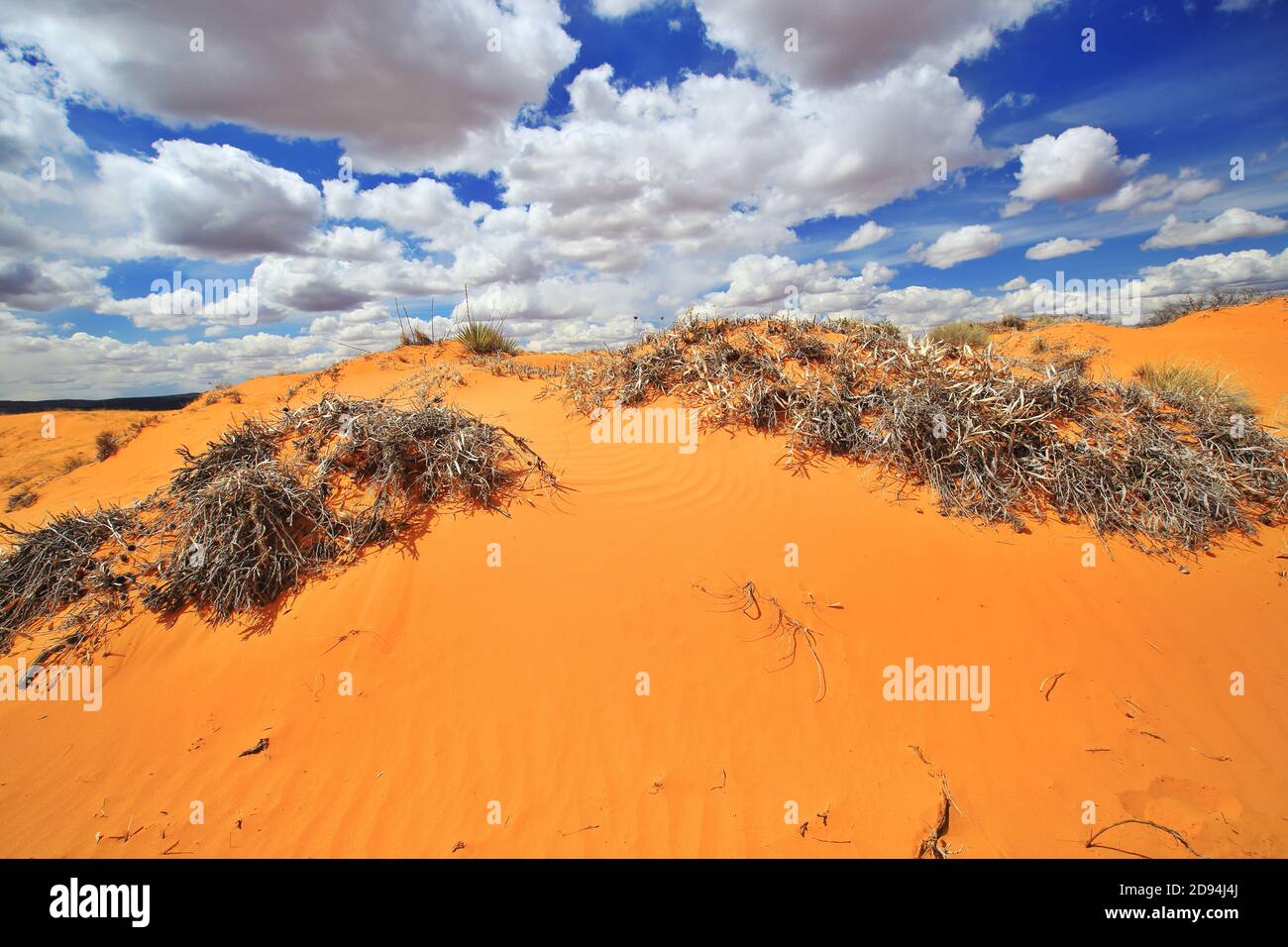 Coral Pink Sand Dunes State Park, Utah-USA Stock Photo - Alamy