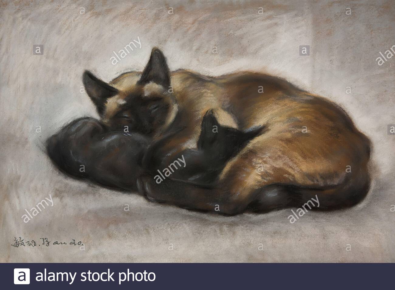 Toshio High Resolution Stock Photography and Images - Alamy