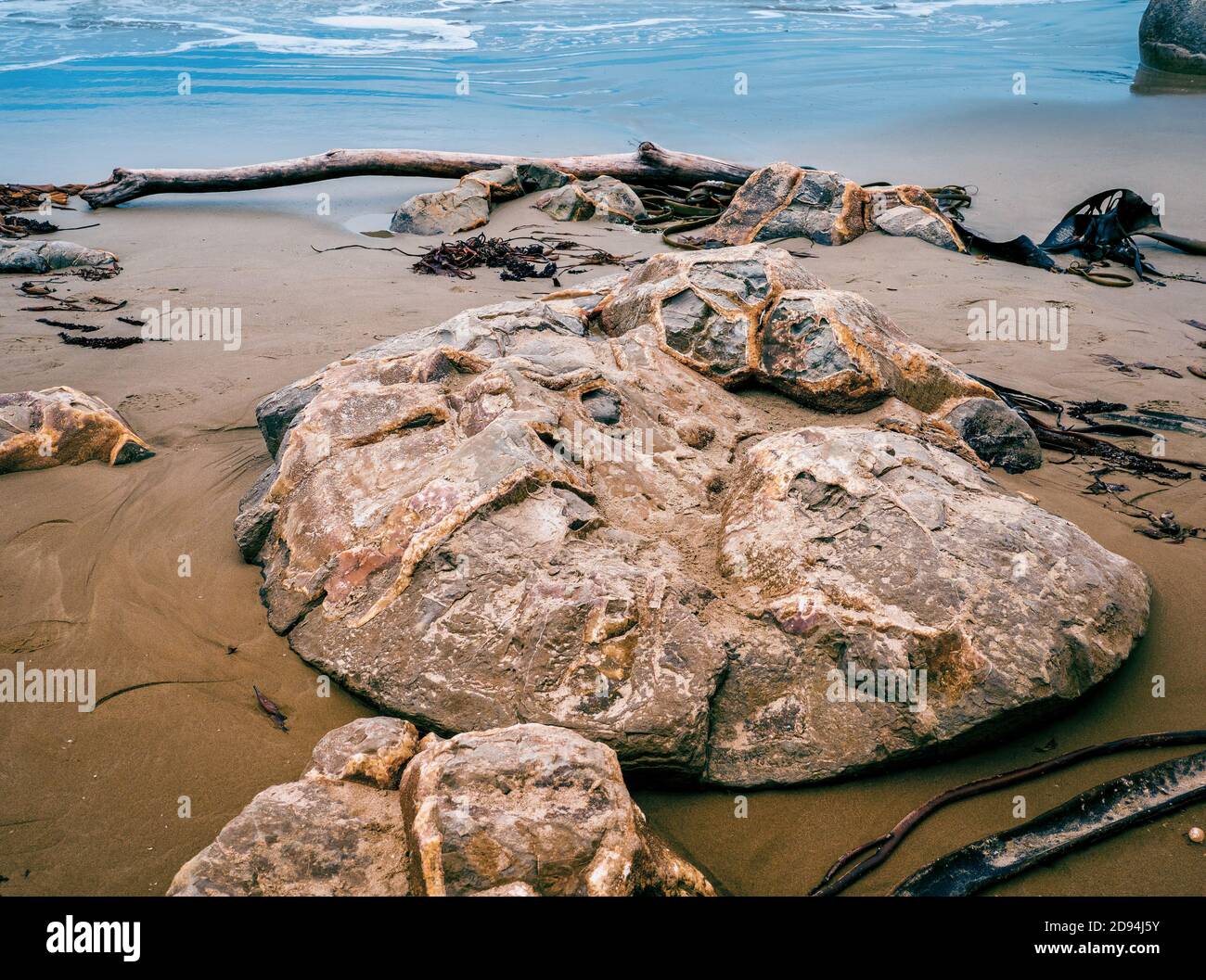 The strange construction of a Moeraki Boulder in New Zealand Stock ...