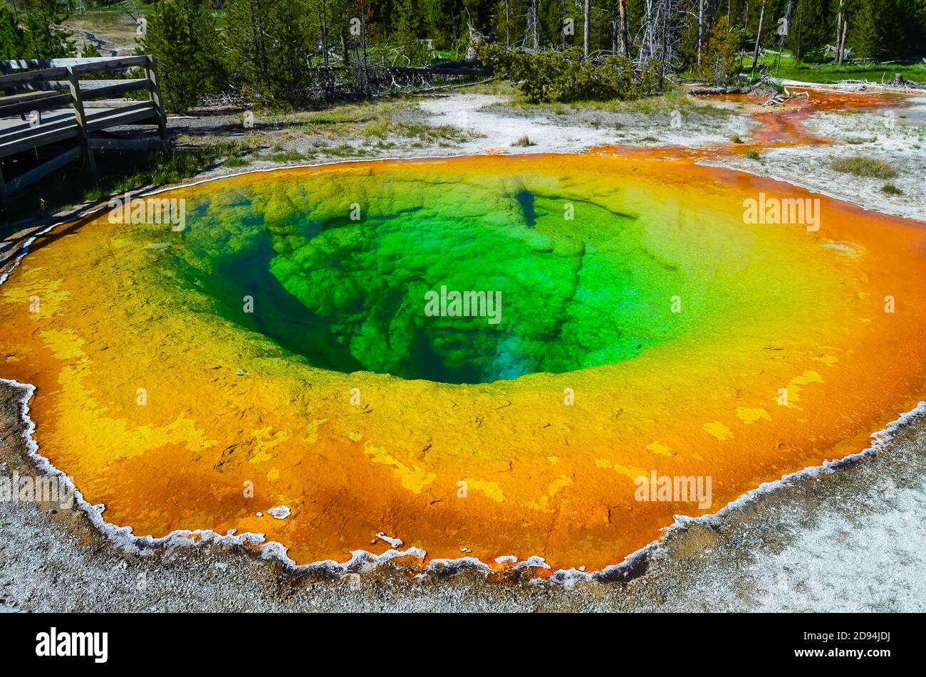 Morning Glory pool in Yellowstone National Park of Wyoming, USA Stock ...