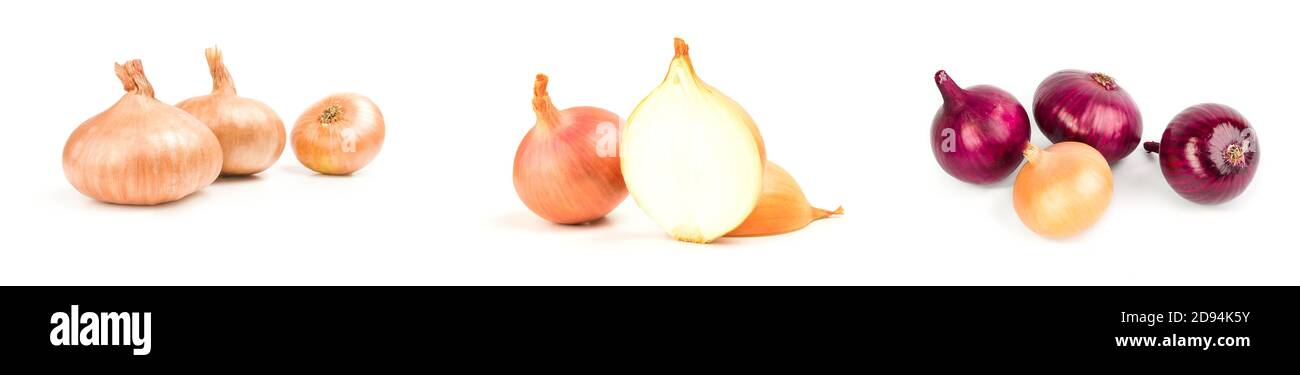Set of Bulb of onion over a white background Stock Photo - Alamy