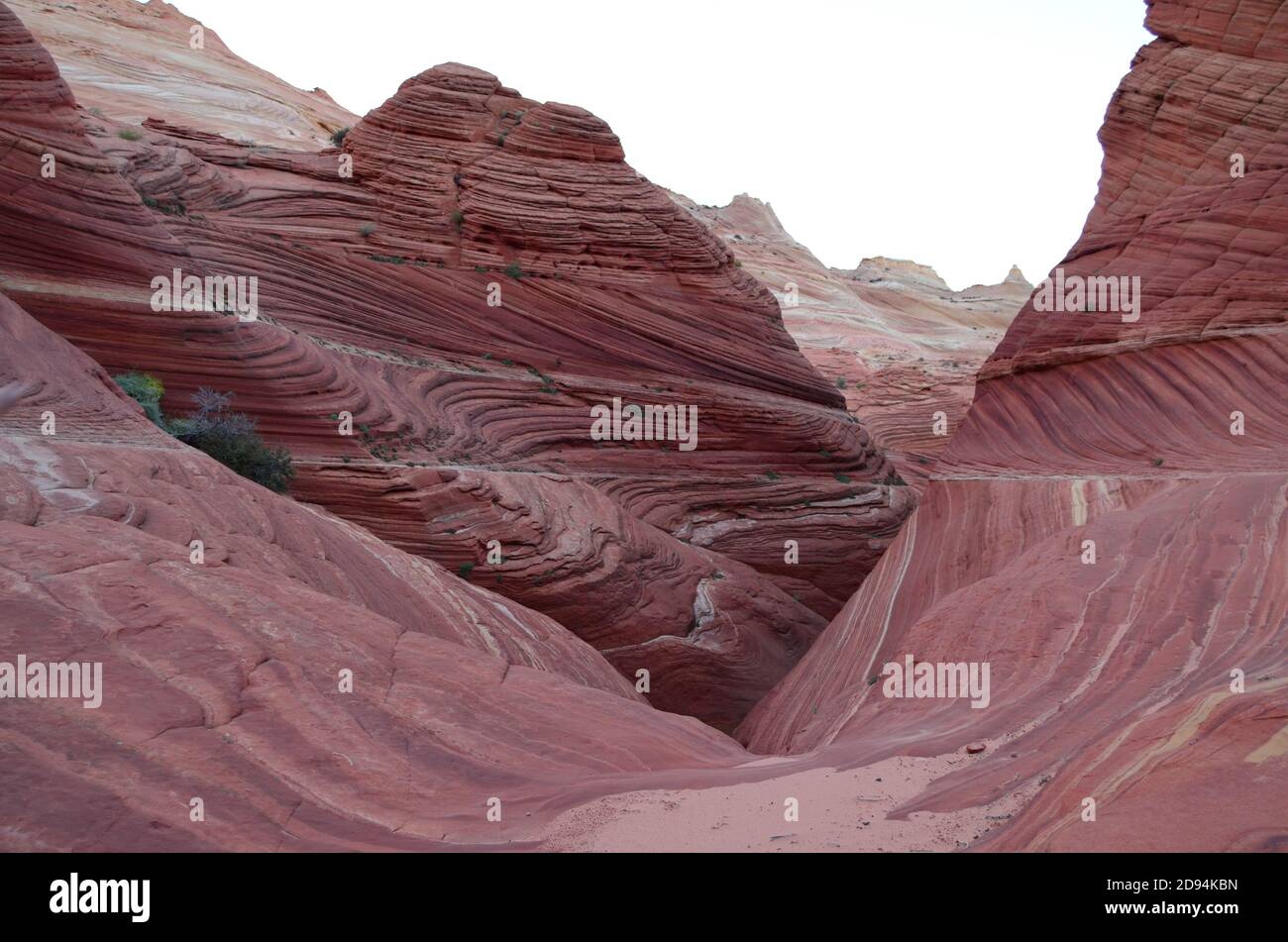 Mesmerizing shot of the iconic wave in the Arizona desert, USA Stock ...