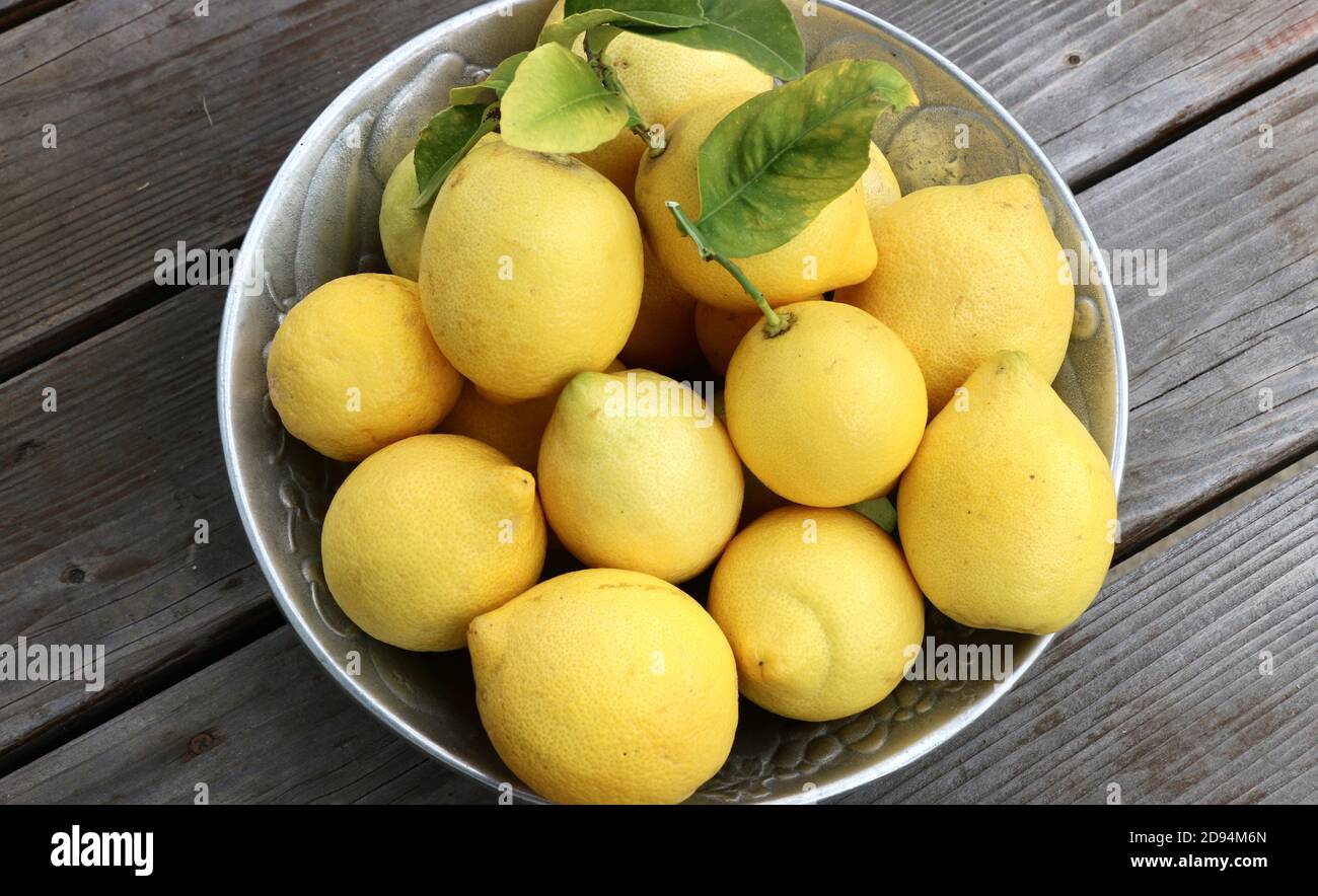 Sicilian lemons hi-res stock photography and images - Alamy