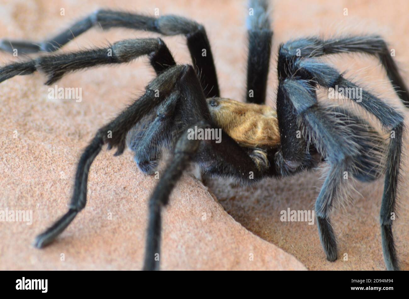 Black point landing hi-res stock photography and images - Alamy