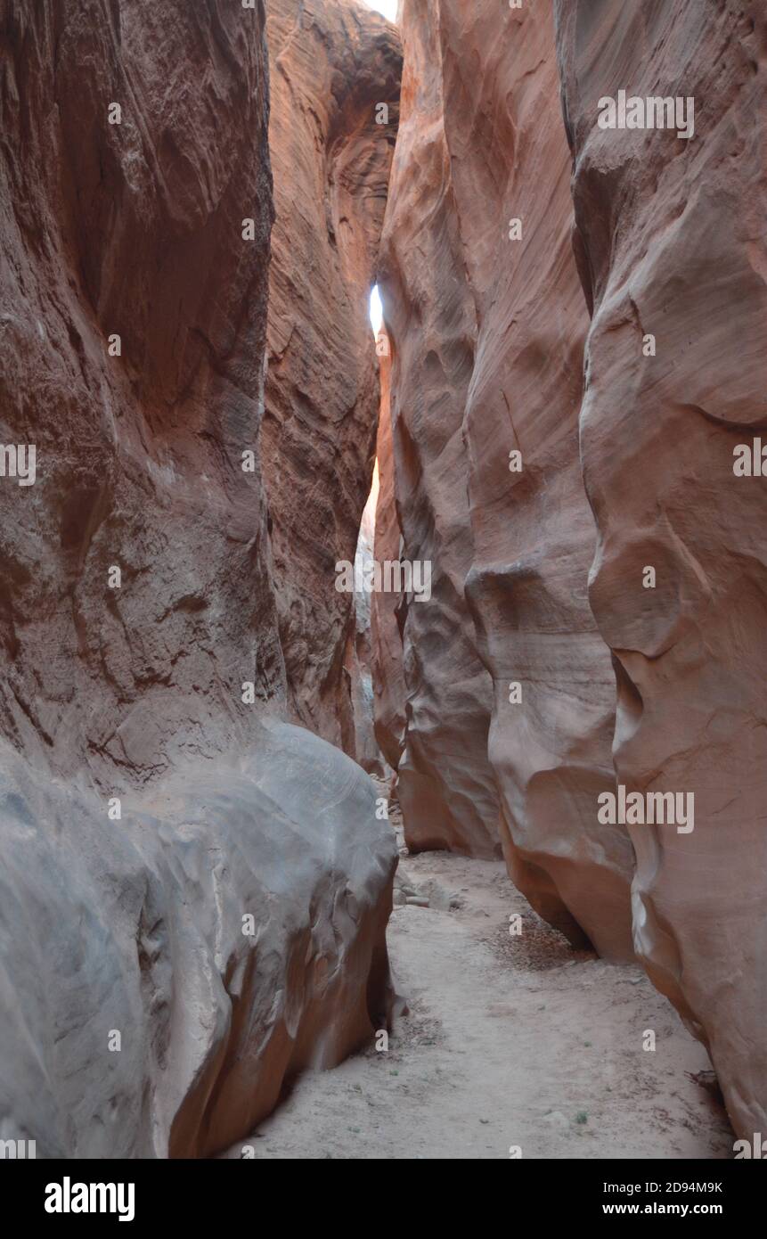 Vertical shot of the narrow path in Peek a boo slot canyon, Escalante ...