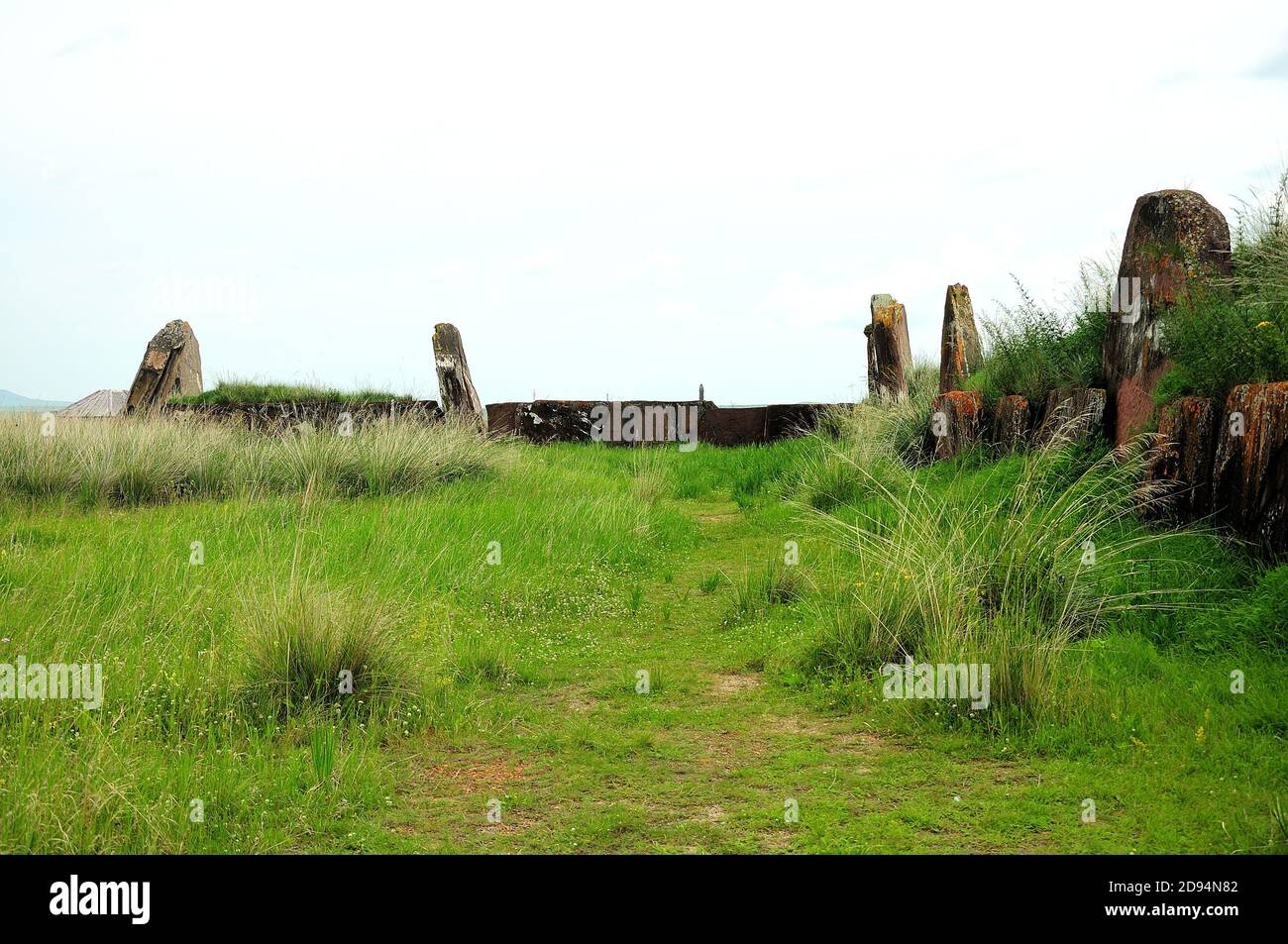 Remains of stone walls in the endless steppe overgrown with tall grass ...